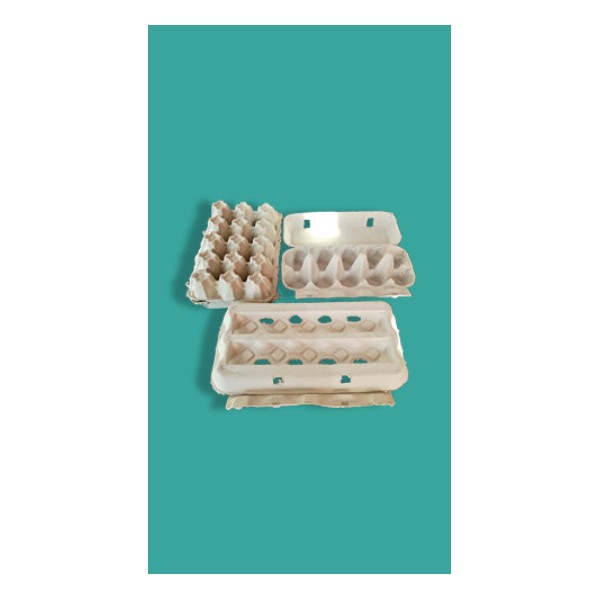 Quality Fully Automatic Pulp Molding Production Line Bagasse Lunch Box Tableware Machine for sale