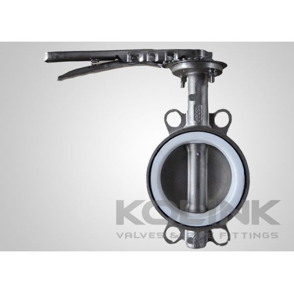 Quality PTFE Seated Butterfly Valve Concentric 2-48 Inch Class150 for sale