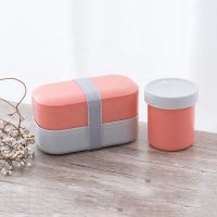 Quality Japanese Bento On-the-Go Double Layer Food Grade Lunch Box Set Eco Plastic BPA for sale