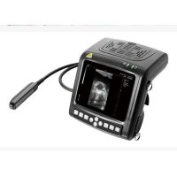 Quality Digital Veterinary Ultrasound Scanner for sale