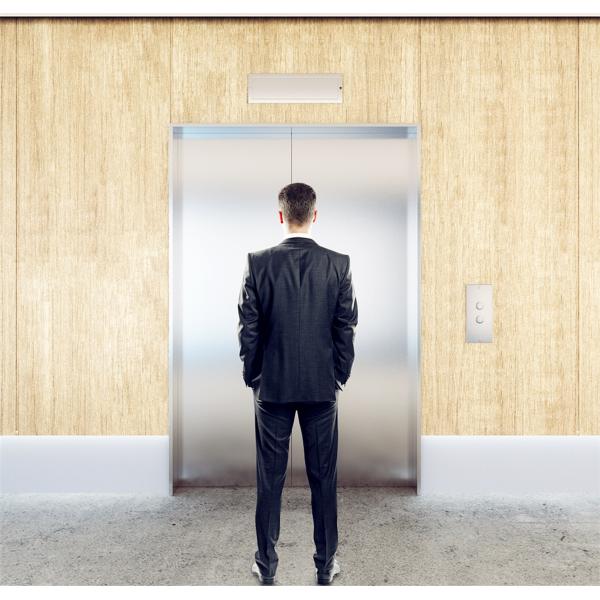Quality 3.0m/S Luxury Passenger Elevator With VVVF Control System for sale