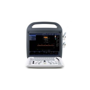 Quality DCU10 Portable Color Doppler Ultrasound System with 15-inch HD Display for OB for sale