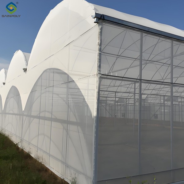 Quality Polycarbonate Mushroom Growing Greenhouse Multispan Farming Green House Cultivation for sale