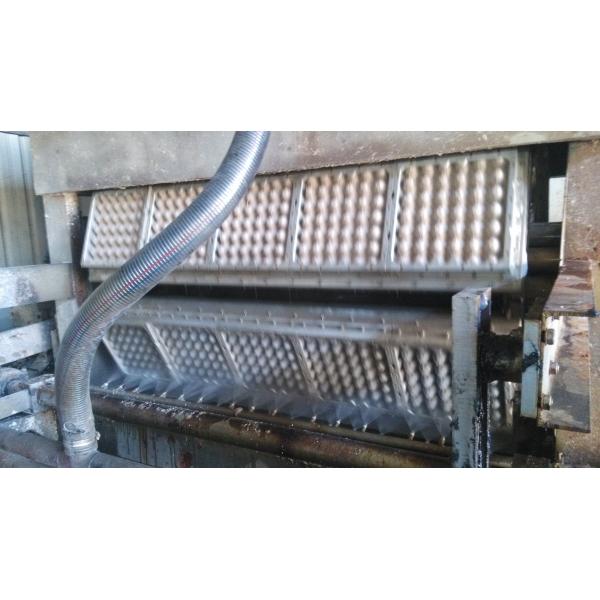 Quality High Output Paper Pulp Molding Machine for sale