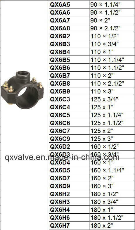 DIN Standard Pn16 with BS Threaded PP Clamp Saddle High Quality!