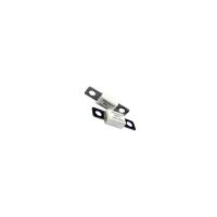 China Ceramic 100 Amp Auto Fuse , 58VDC Low Breaking Capacity Fuse factory
