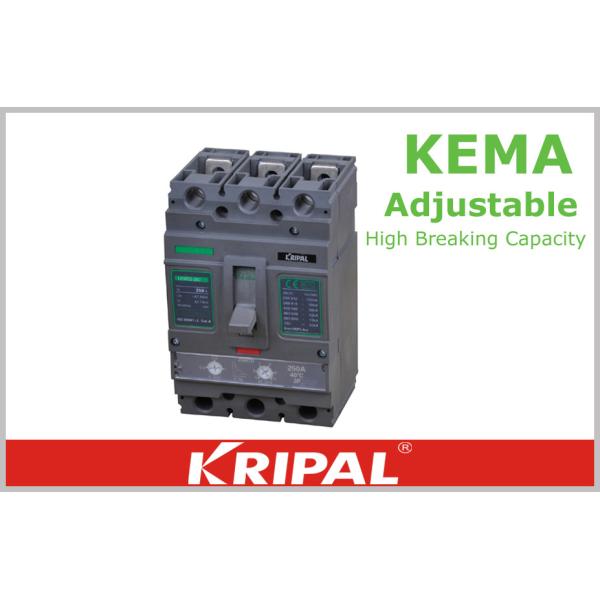 Quality Compact Electronic Trip Molded Case Circuit Breaker 250A , High breaking for sale