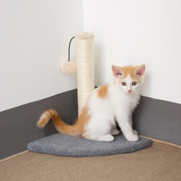 Quality OEM Eco Friendly 13.39" Fabric Cat Scratching Post for sale