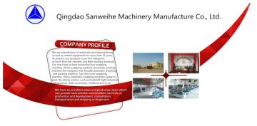 Swwf-800 Reciprocating Type Box-Motion Packaging Machine