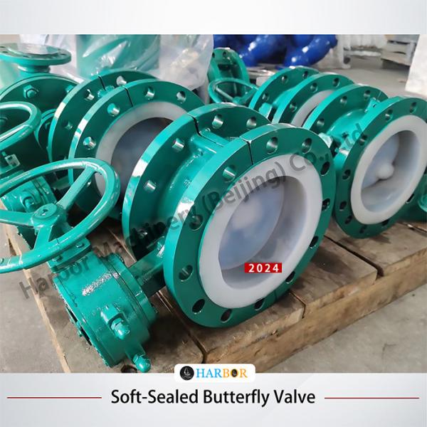 Quality Cast Steel Turbine Fully PTFE-Lined Flanged Butterfly Valve D341F46-16C for for sale