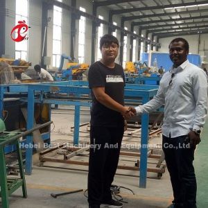 Quality A Type 3 Tier Poultry Layer Cage For 2 Rows And 3 Rows Poultry Farm Sandy for sale