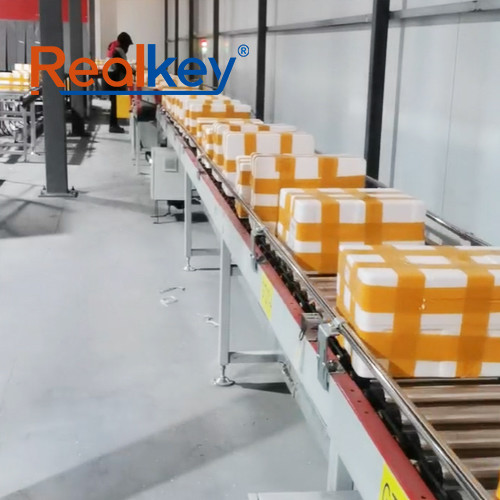 Quality Customization Design Warehouse Roller Conveyors Carton Roller Conveyor Low Noise for sale