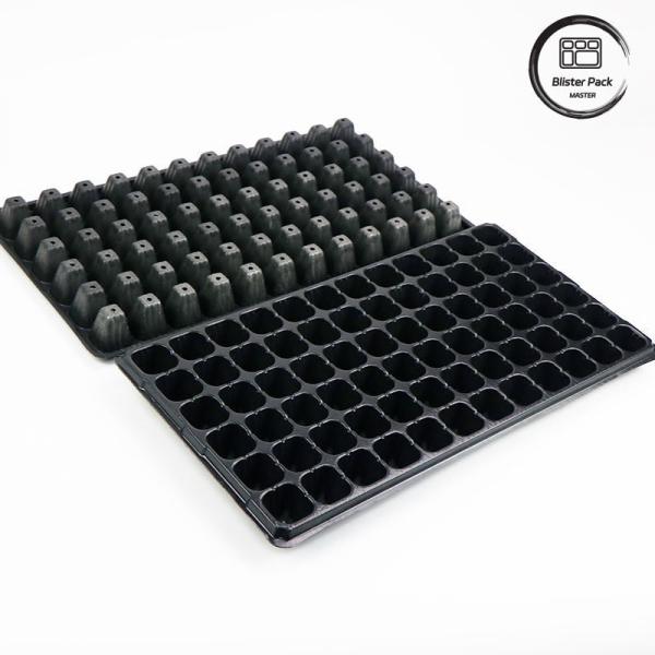 Quality Heavy Duty 128 Cell Grape polystyrene seed trays Durable Seed Starter and for sale