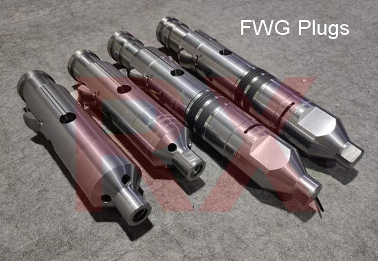 Quality Anti Rust Wireline Lock Mandrel Wear Resistant Blanking FWG Plugs for sale