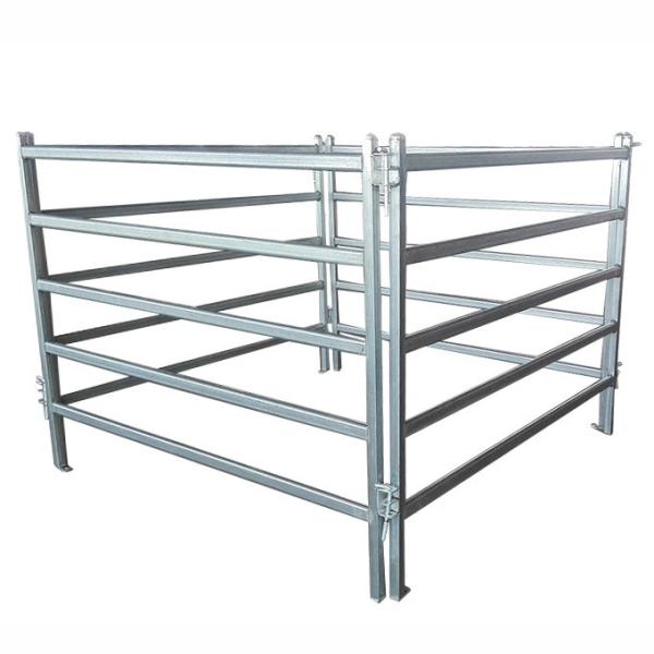 Quality Height 1.6m Galvanized Cattle Livestock Panels Easy Assembly Farm Metal Fence for sale