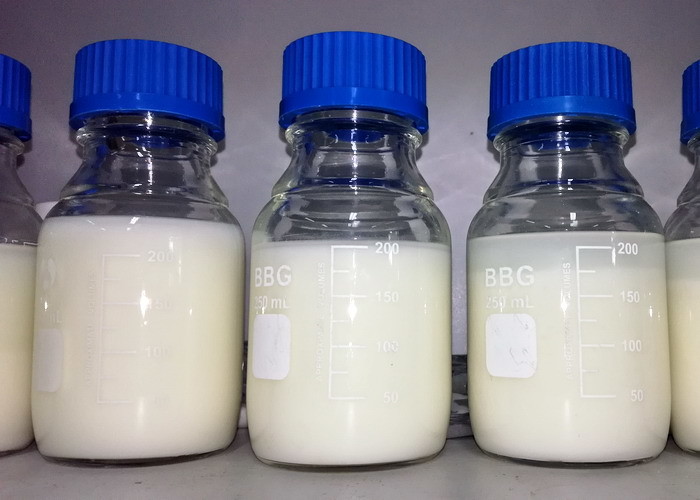 Quality Polyglycerol Esters E475 PGE155 Emulsifier for Chocolate, Cocoa products HALAL for sale