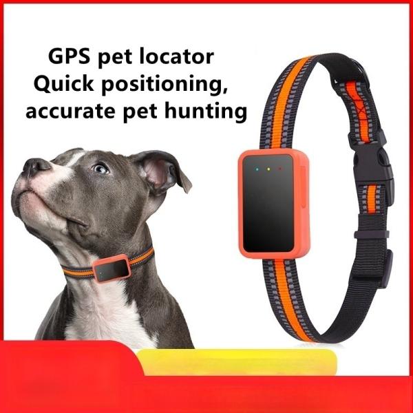 Quality Real Time Tracking Dog Cat GPS Tracker Collar Global Coverage Waterproof Pet for sale