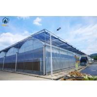 China Modern Multi Span Agricultural Greenhouse PE Film Commercial Greenhouse Construction factory