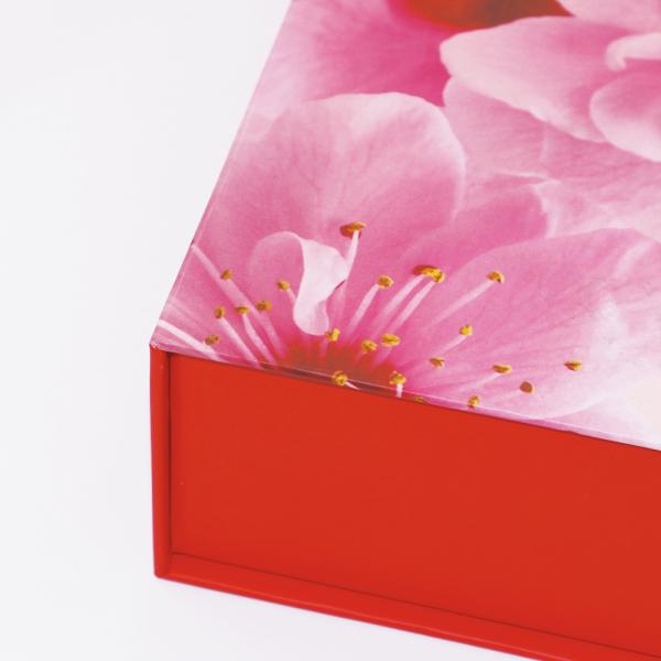 Quality Customized luxury cardboard smooth surface with logo carton book shaped boxes for sale