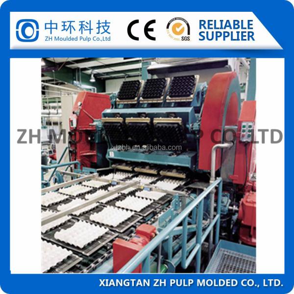 Quality Large Output Pulp Egg Tray Machine 100kw  Molding Rotary Fully Automatic for sale