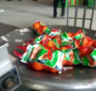 Quality Automatic Orange Fruit And Vegetable Packaging Machine With Net for sale