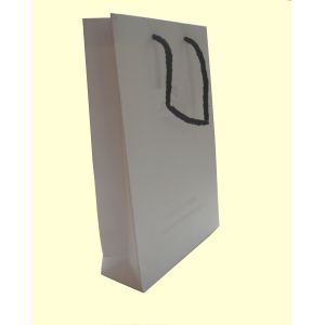 Quality custom design and printing paper gift bag for sale