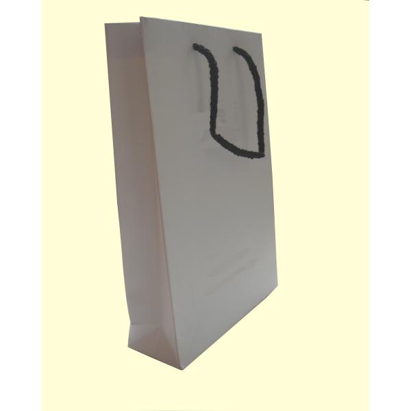 Quality custom design and printing paper gift bag for sale