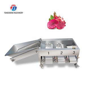 Quality 2.5KW Vegetable Fruit Sorting Machine Roller Barrel Grading equipment for sale