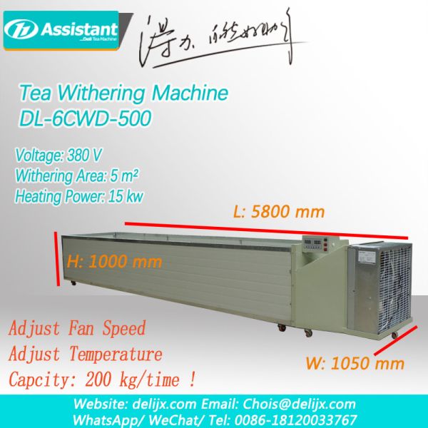 Quality Tea Leaf Withering Machine DL-6CWD-600 for Black and Green Tea Processing for sale
