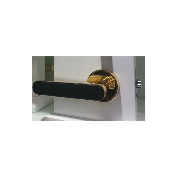 Quality High Security Residential Door Locks Electronic Entry Door Locks for sale