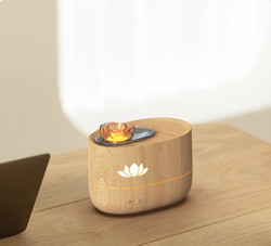 Quality 350ml Fire Flame Humidifier With Timing Automatic Outage Protection for sale