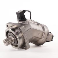 Quality Rexroth A2FM32/61W-Vab010h R902223014 Hydraulic Motor for Construction Machinery for sale