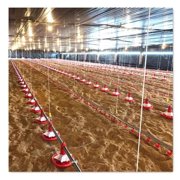 Quality Complete Automatic Poultry Farm Equipment Broiler Chicken Cage T607 Controller for sale