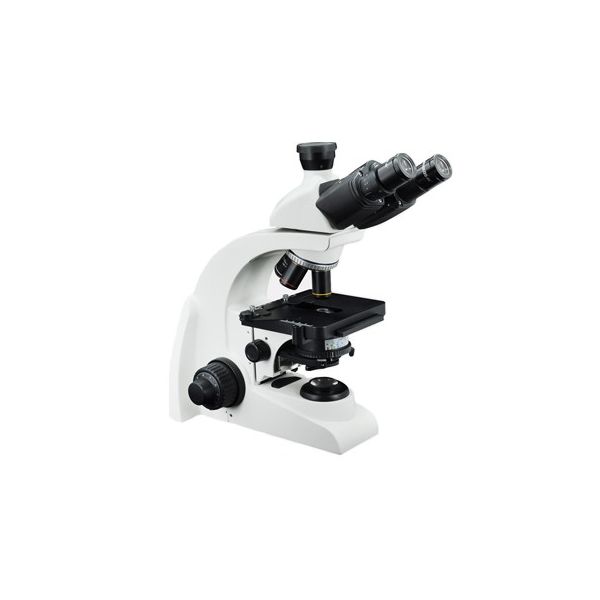 Quality Educational Portable Microscope 1000x WF10X Trinocular Biological Microscope for sale