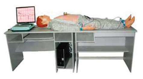 Quality Hospital Simulation / Auscultation Manikin with ECG Simulated Teaching System for sale