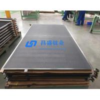 Quality BM 2.7 4Gen Anode Cell Titanium For Chlor-alkali (chlorine Alkali) Industry for sale