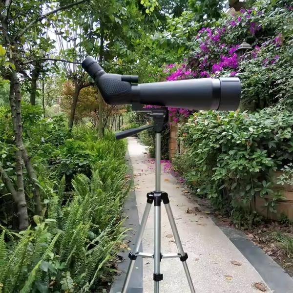 Quality 25-75x80 Angled Spotting Scopes Waterproof Telescope with Remote Control Tripod for sale