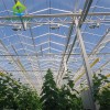 china Commercial Multi-Span Venlo Glass Greenhouse with Hot Galvanized Steel Frame and