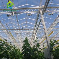 Quality Commercial Multi-Span Venlo Glass Greenhouse with Hot Galvanized Steel Frame and for sale