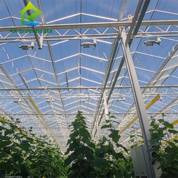 Commercial Multispan Large Venlo Glass Greenhouse Hot Galvanized Steel Frame