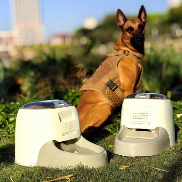 Quality Scent Work Training Smart Automatic Pet Feeders Child Safety Lock App Control UV Light for sale