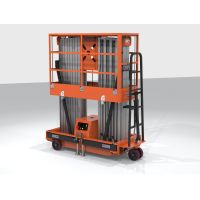 Quality High Durability Electrical Double Mast Lift DL Series 8.0m ~ 16.0m for sale