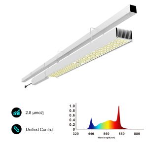 Quality Strawberry Cultivation Greenhouse Led Grow Light Supplemental Lighting For Soft for sale