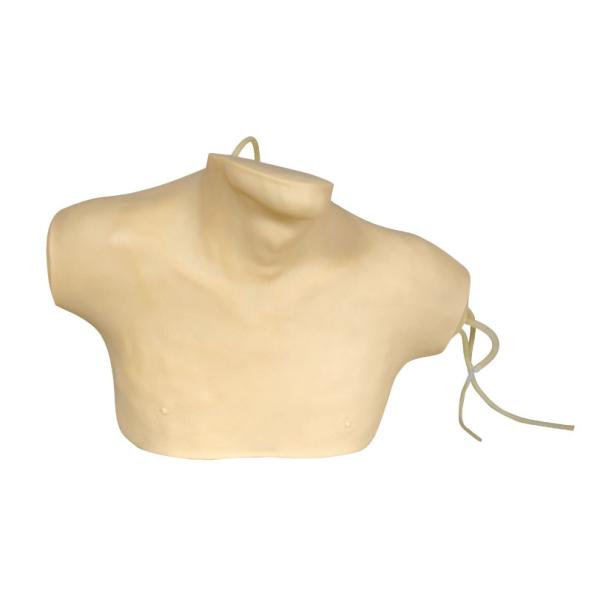Quality CE / ISO Clinical Simulator central venous catherization education manikin for sale