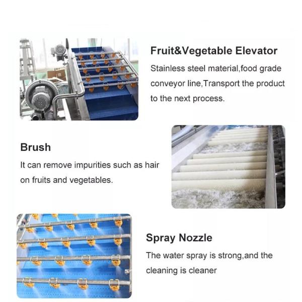 Quality Brush Roller Fruit And Vegetable Processing Machine For Michelin Starred for sale