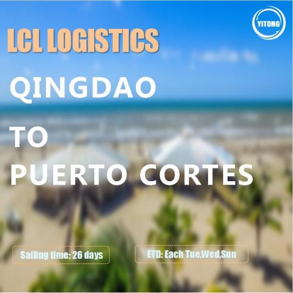 Quality ISEA LCL International Shipping Via Sea From Qingdao To Puerto Cortes Honduras for sale