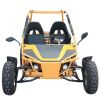 china 200cc GY6 Engine Go Kart with CE Certificate and Minimum Ground Clearance of 250
