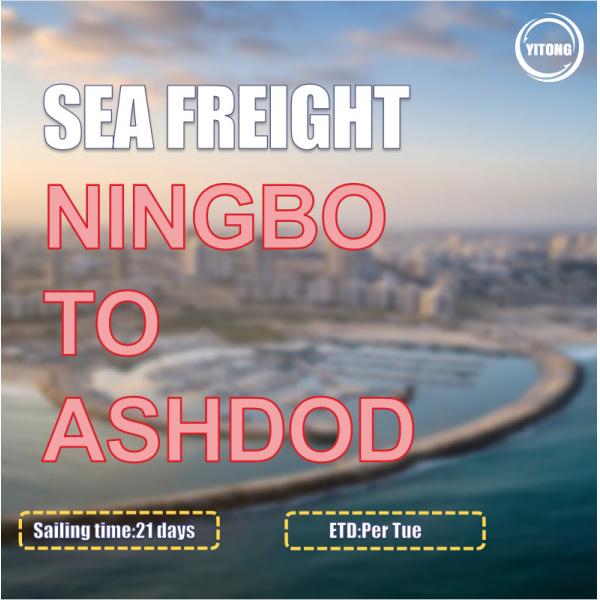 Quality COSCO Liner Export  Ocean Cargo Logistics From Ningbo To Ashdod Israel Direct Sailing for sale
