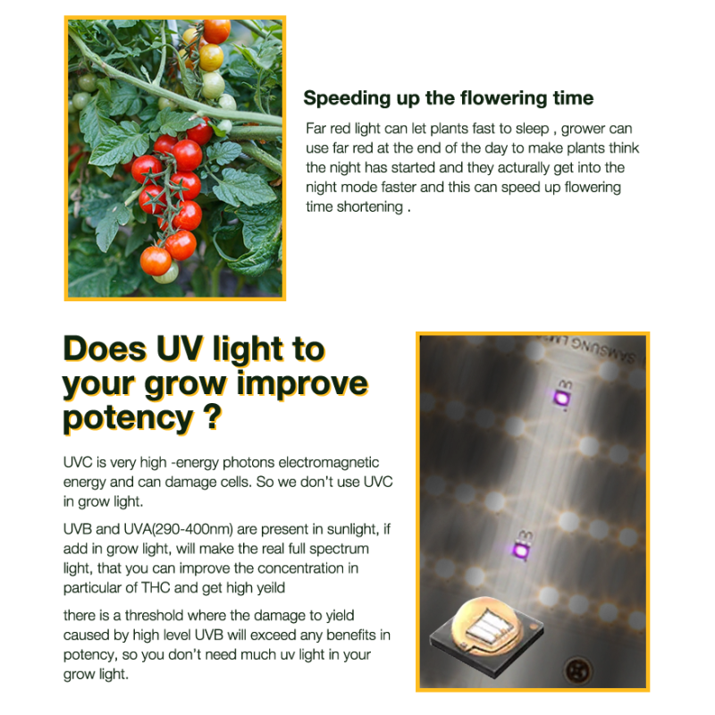 ETL Certificate high PPFD waterproof 240W Red UV Grow light Samsung LM301H quantum board 1