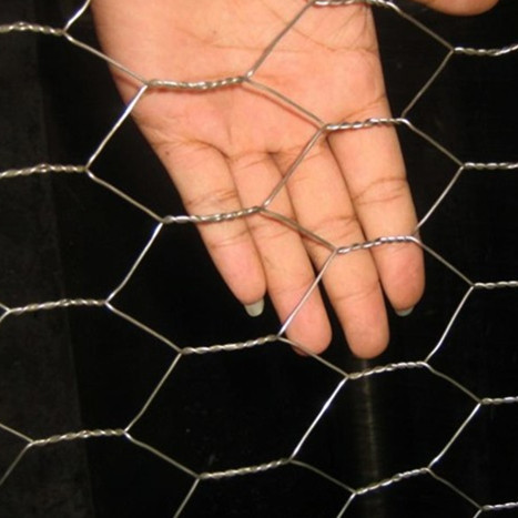 Quality 26G Dia Hexagonal Wire Netting Fence Hardware Cloth 150 Feet Length for sale